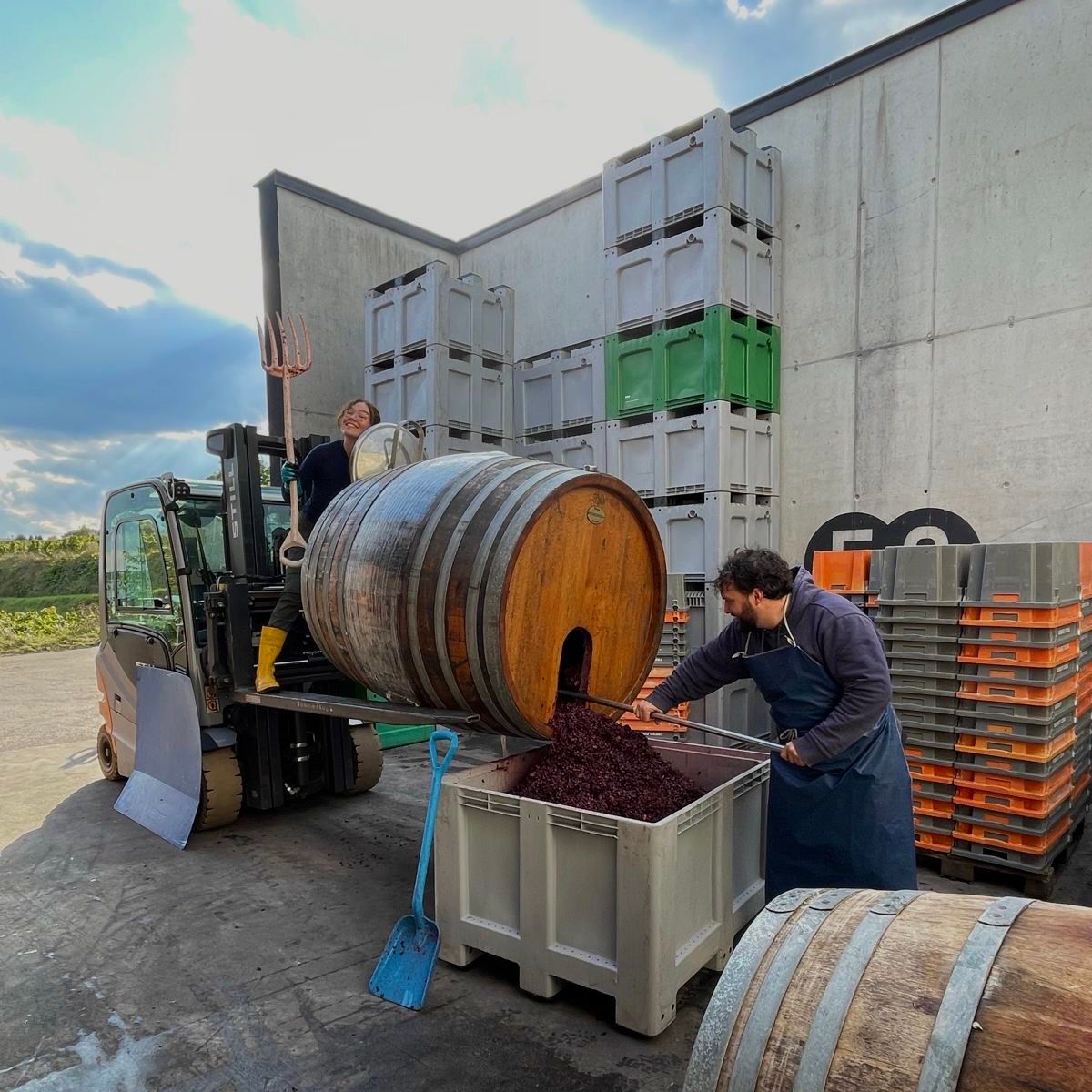 In Pursuit of Place: Lessons from an Austrian Harvest